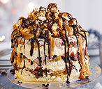 Gingerbread ice cream cake | Tesco Real Food