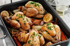 Poussin With Lemon Recipes | Poussin Recipes | Tesco Real Food